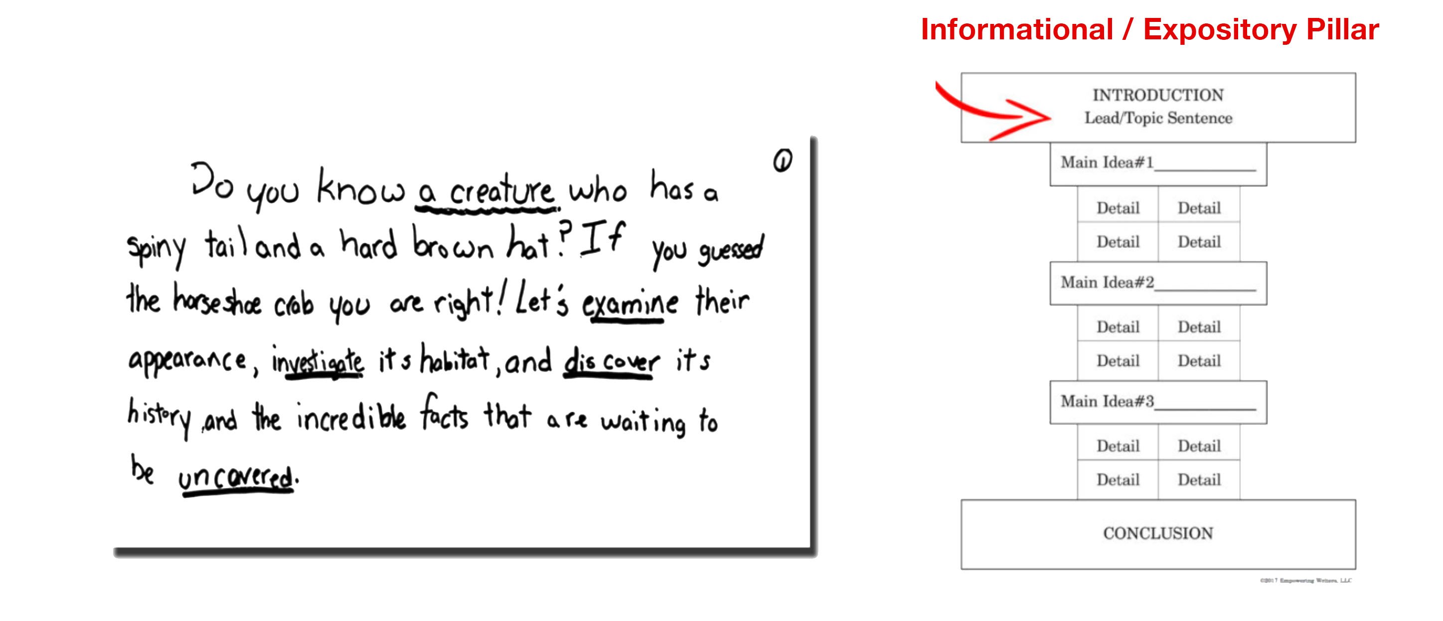 A 4th Grade Expository Student Writing Sample