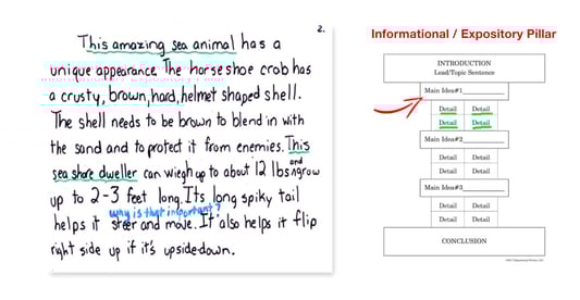 A 4th Grade Expository Student Writing Sample