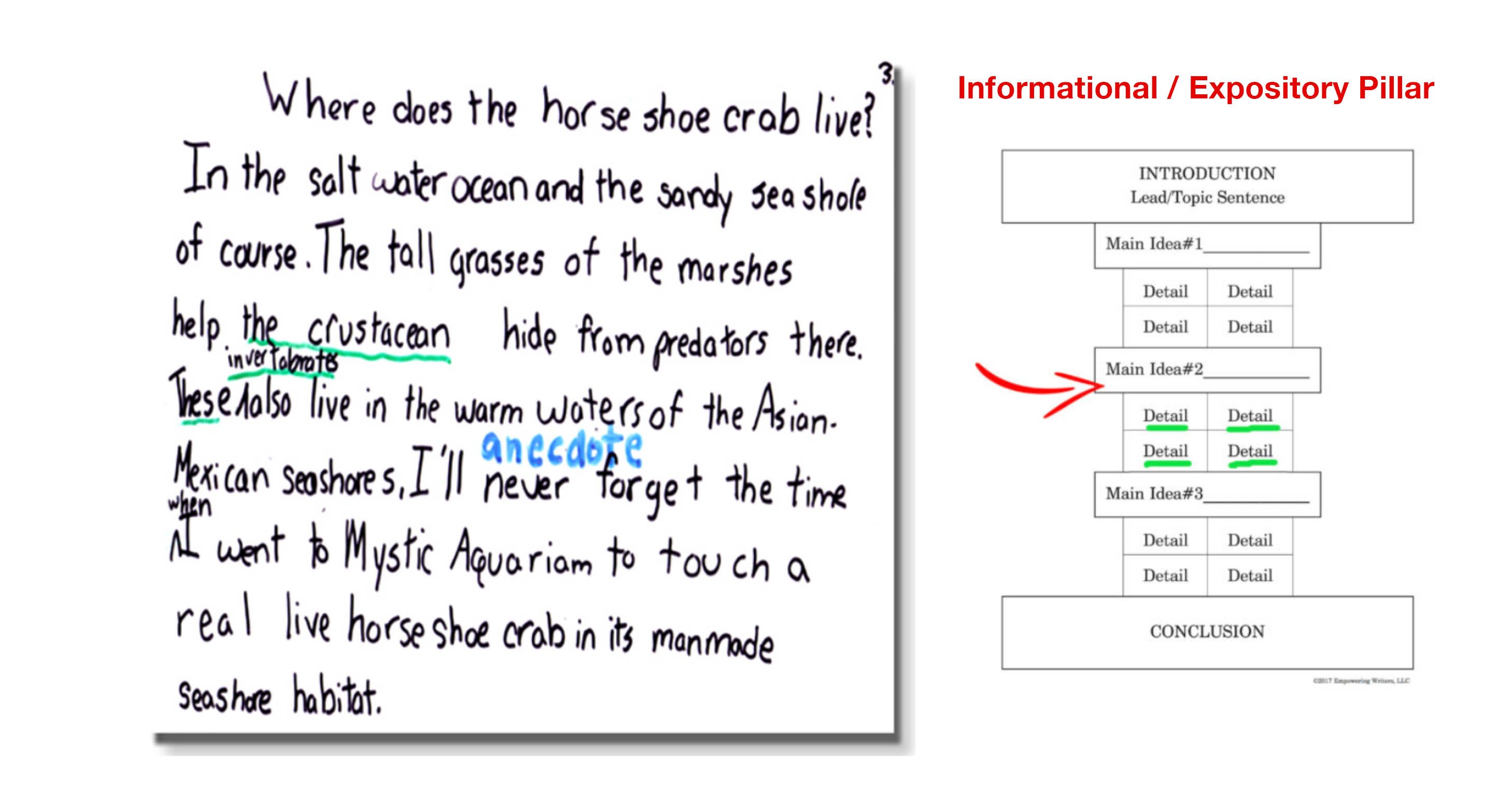A 4th Grade Expository Student Writing Sample
