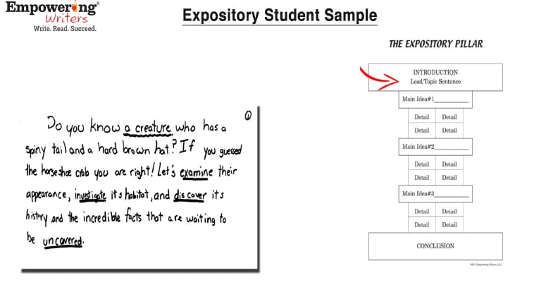 Informational Student Writing Sample- Grade 4