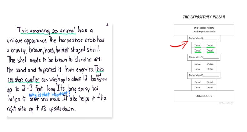 Informational/Expository Student Writing Sample- Grade 4