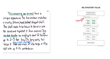 Informational/Expository Student Writing Sample- Grade 4