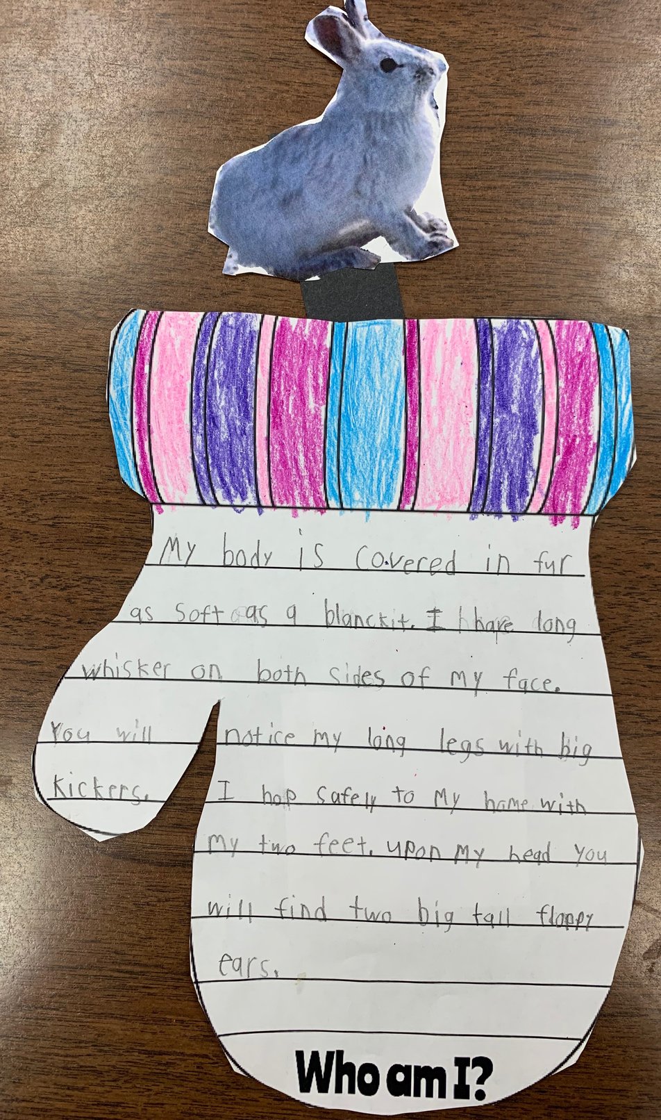 The Mitten: Suspense Riddles