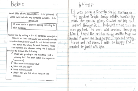 Get More Details! Activity – Narrative Student Sample