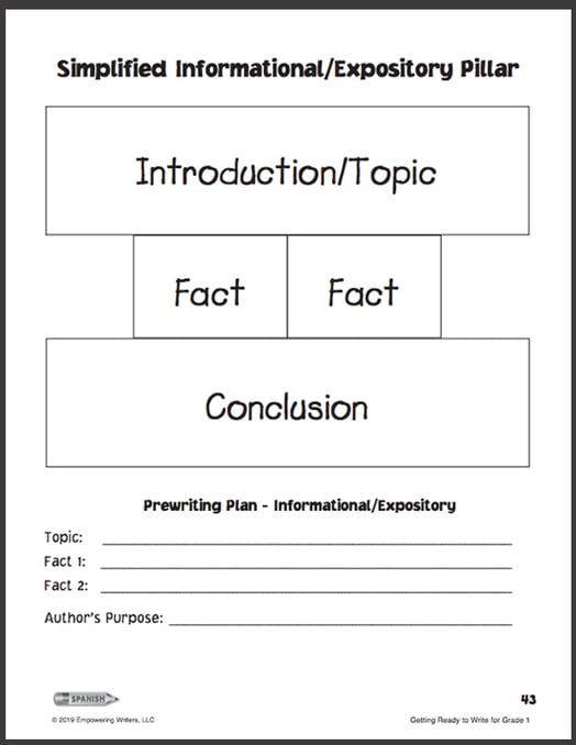 The Simplified Informational Pillar