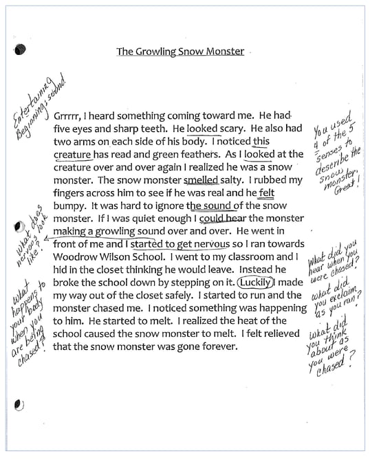 Narrative Writing Sample- Character Problem Solution- Grade 3-