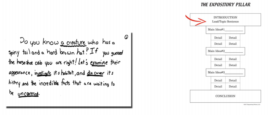 A 4th Grade Expository Student Writing Sample