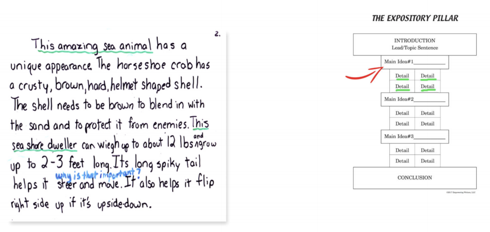 A 4th Grade Expository Student Writing Sample