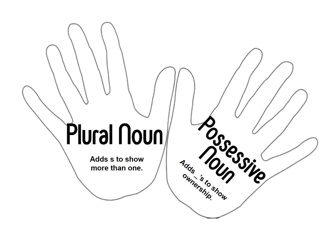 Plural and Possessive Noun Practice
